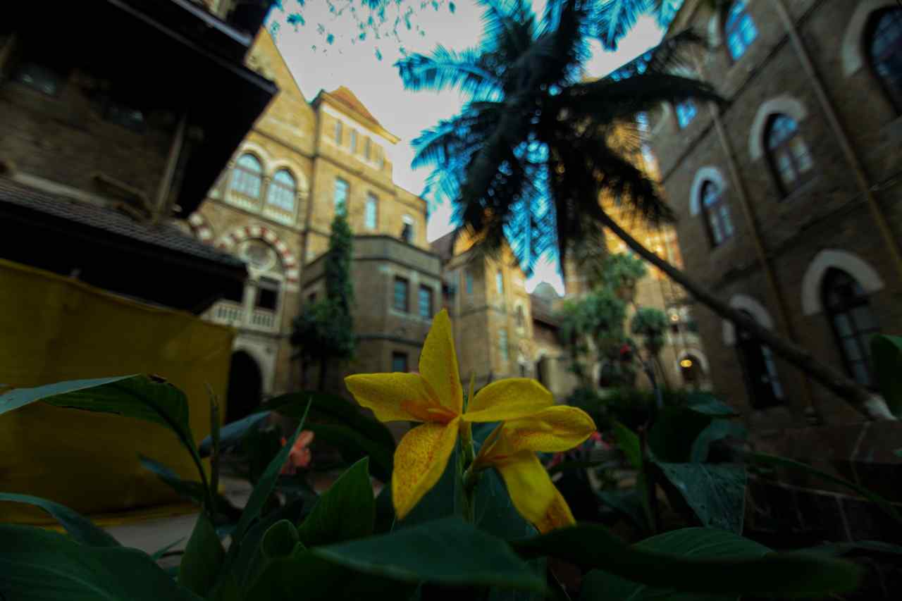 MyBMC - Welcome to BMC's Website